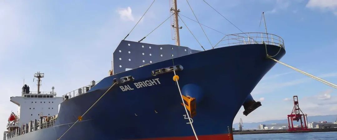 China Ocean Shipping Companies Soars On Carrier Top 50 - STU