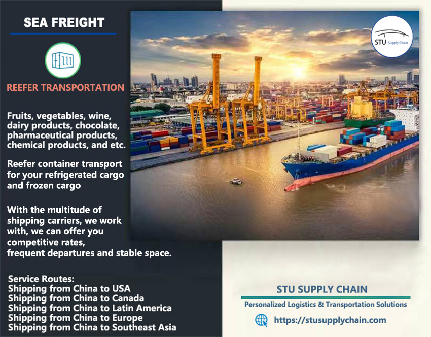 Comprehensive Guide to Reefer Transportation